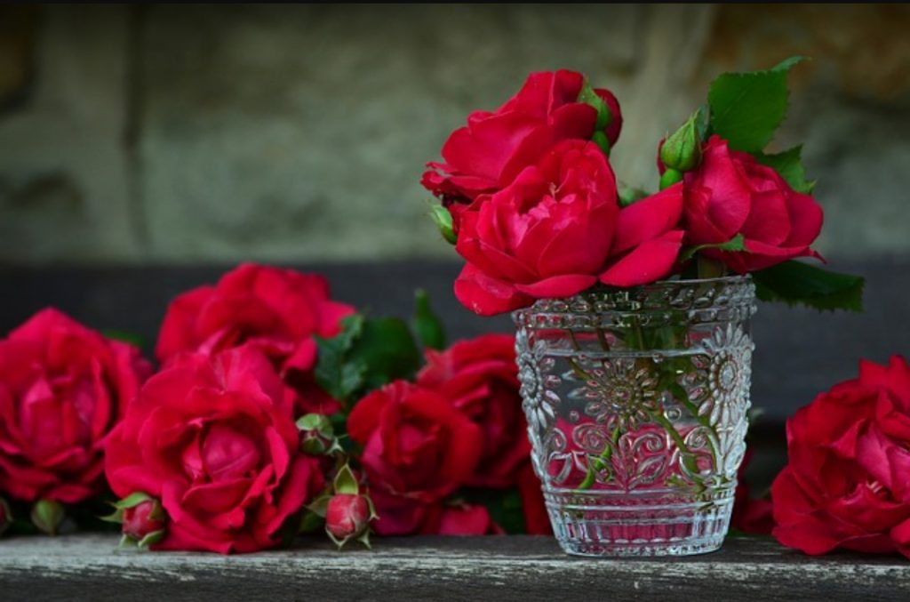 Apakah Budidaya Bunga Mawar Menjanjikan? Simak informasi Lengkapnya ...